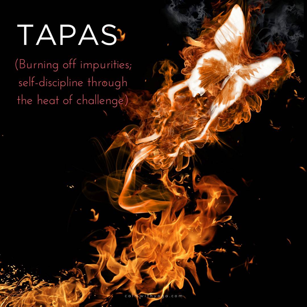 Tapas Yoga Quotes